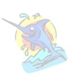 marlin – Rig Master Tackle